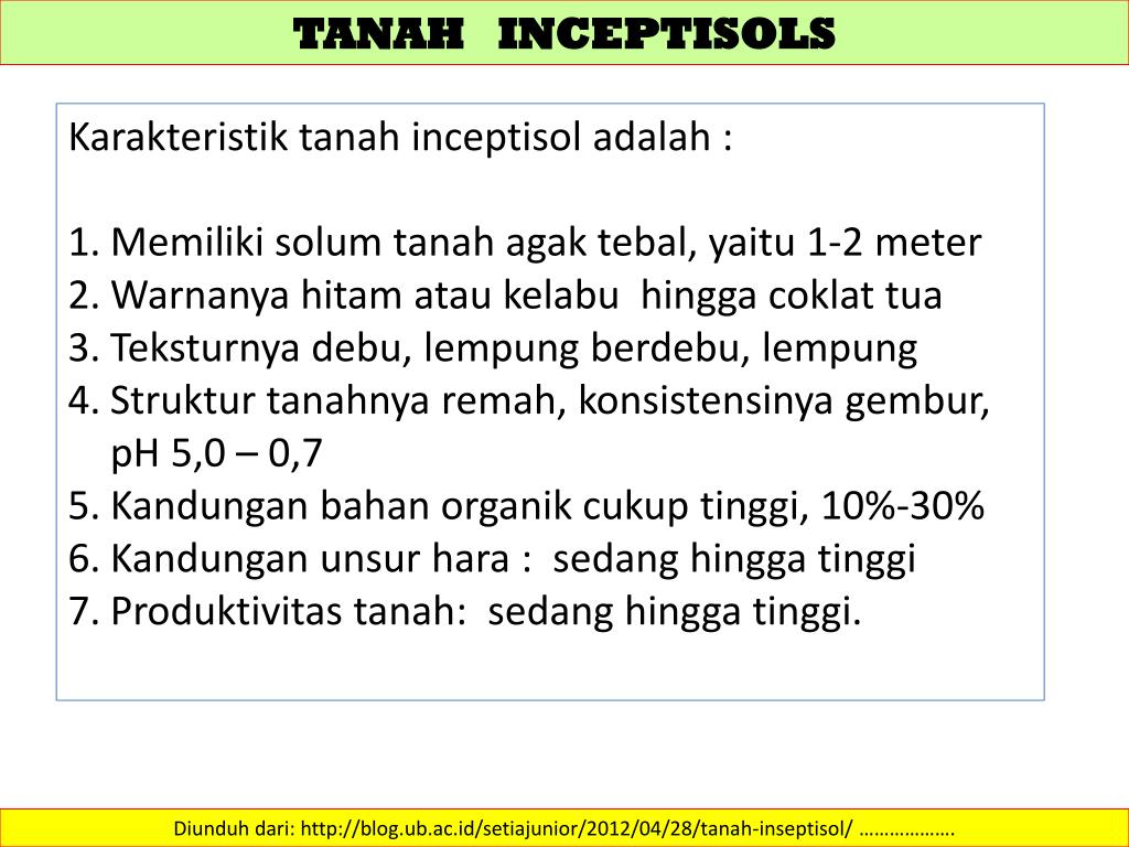 PPT - BAHAN KAJIAN MK. DASAR ILMU TANAH TANAH INCEPTISOLS PowerPoint ...