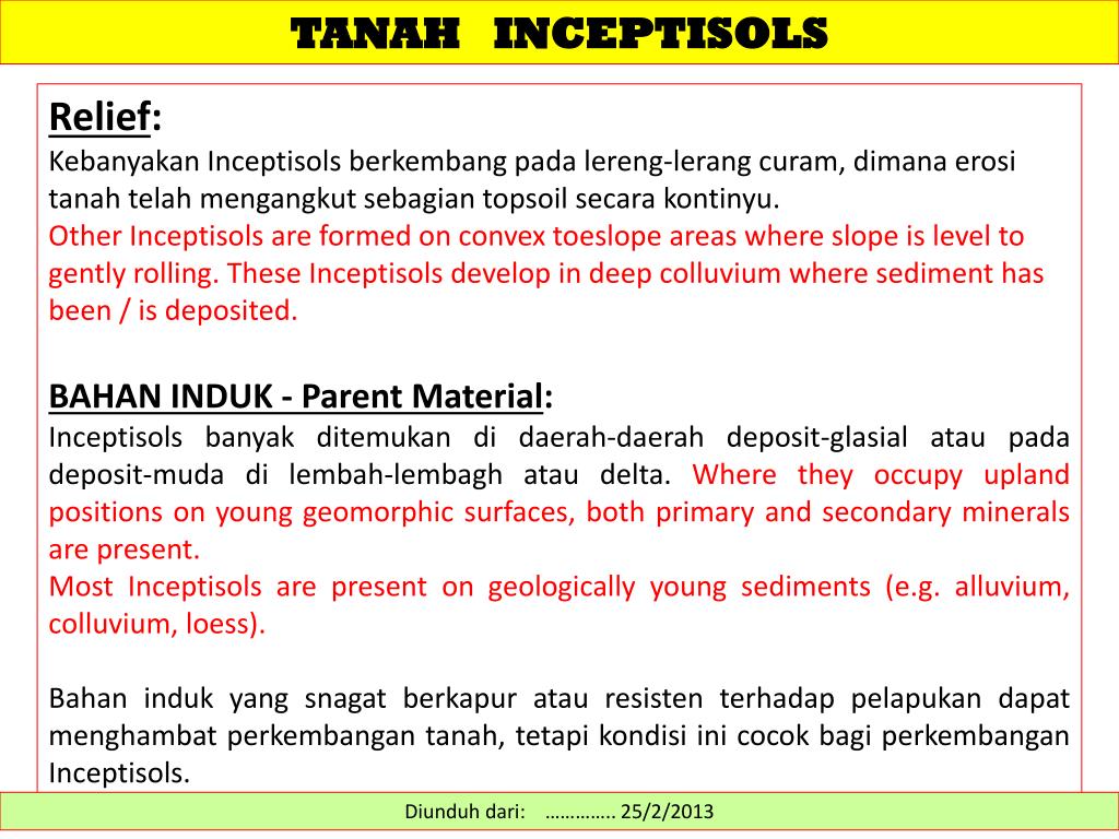PPT - BAHAN KAJIAN MK. DASAR ILMU TANAH TANAH INCEPTISOLS PowerPoint ...