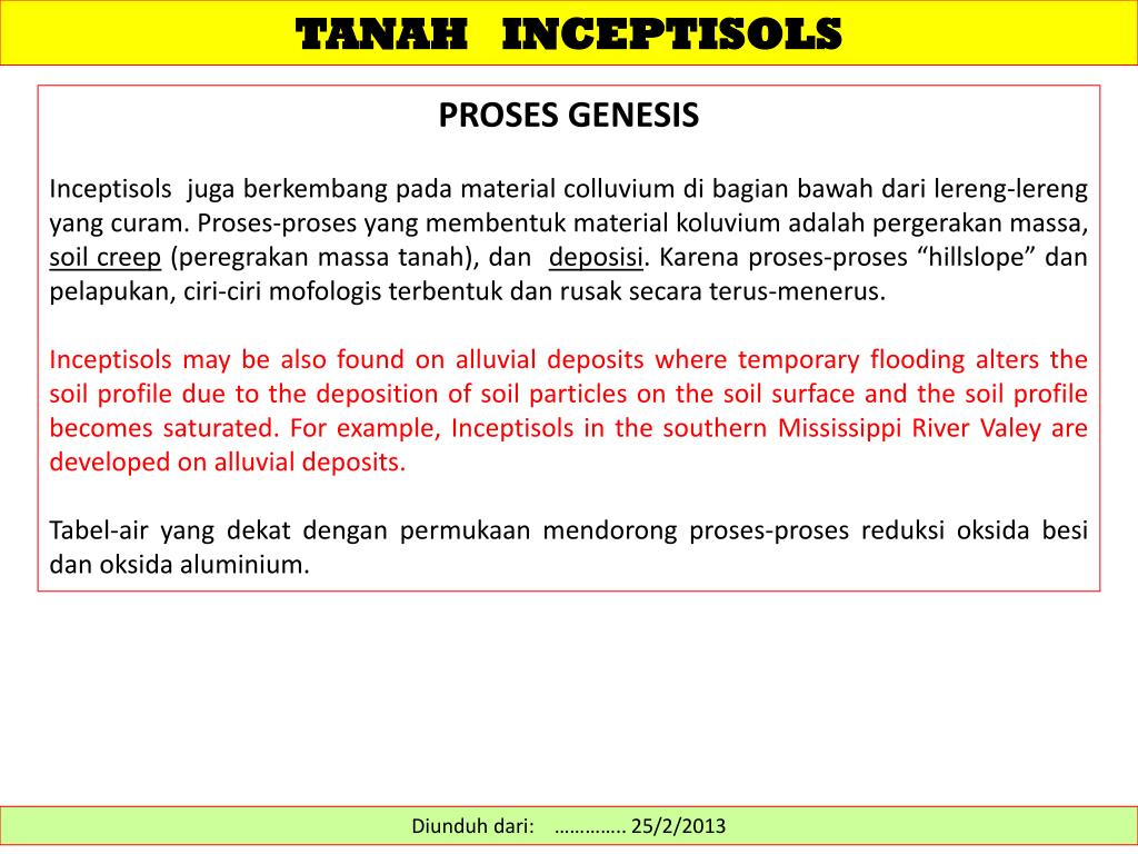 PPT - BAHAN KAJIAN MK. DASAR ILMU TANAH TANAH INCEPTISOLS PowerPoint ...
