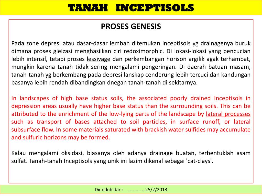PPT - BAHAN KAJIAN MK. DASAR ILMU TANAH TANAH INCEPTISOLS PowerPoint ...