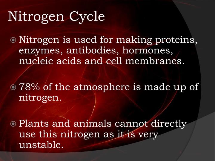 PPT - Helpful Bacteria PowerPoint Presentation - ID:2416653