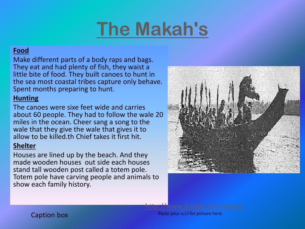 PPT - Indians of North America T he Great North W est PowerPoint ...