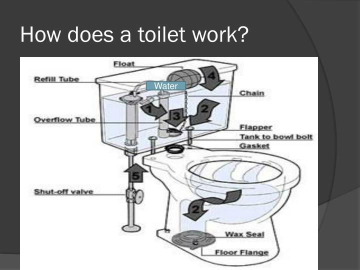 PPT - The Toilet PowerPoint Presentation - ID:2417414