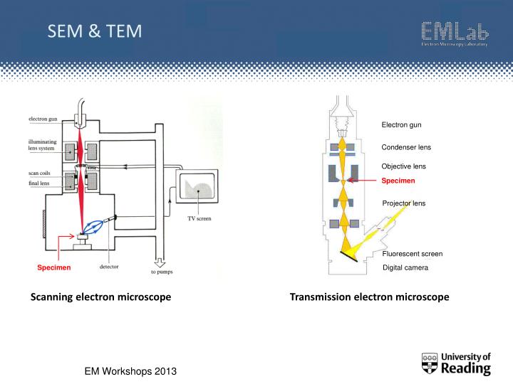 PPT - Transmission Electron Microscopy PowerPoint Presentation - ID:2417439