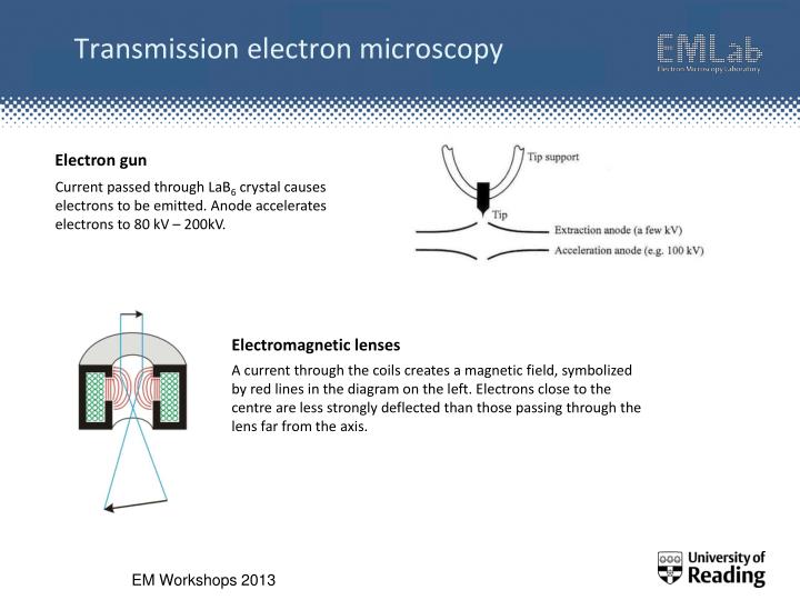 PPT - Transmission Electron Microscopy PowerPoint Presentation - ID:2417439