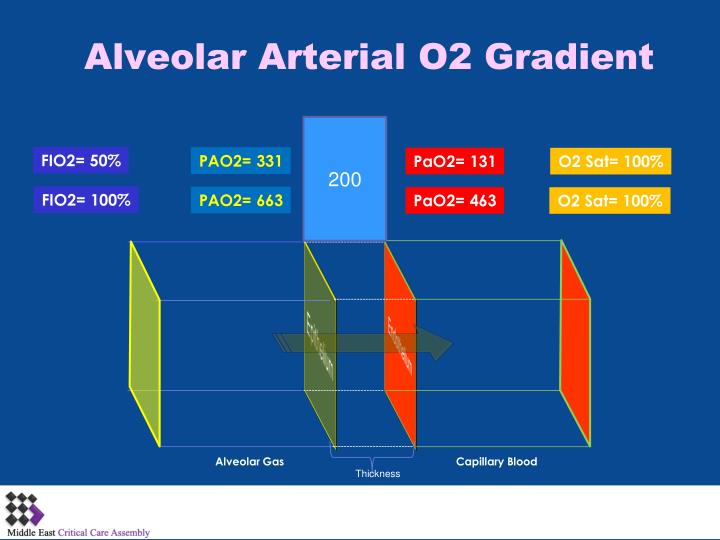 PPT - Alveolar Gas Equation PowerPoint Presentation - ID:2417510
