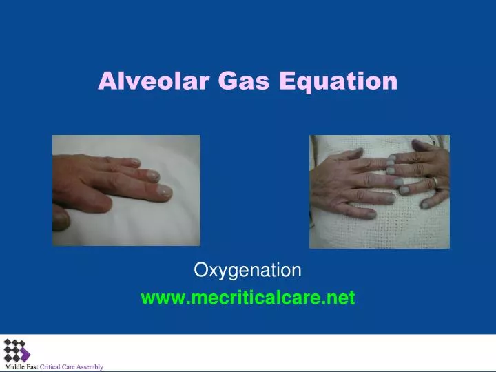 PPT - Alveolar Gas Equation PowerPoint Presentation, free download - ID ...