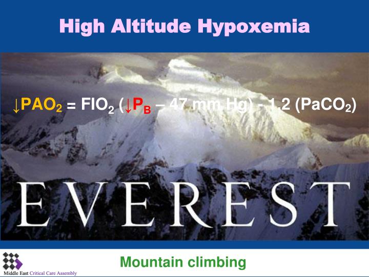 PPT - Alveolar Gas Equation PowerPoint Presentation - ID:2417510