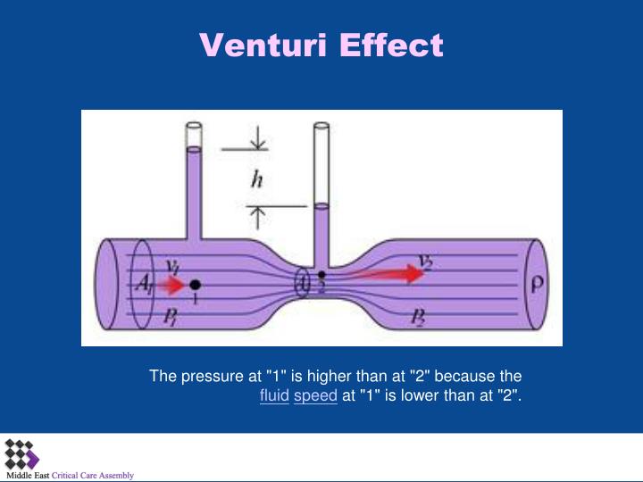 PPT - Alveolar Gas Equation PowerPoint Presentation - ID:2417510