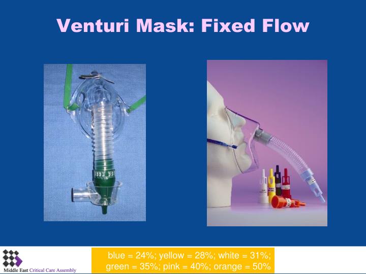 PPT - Alveolar Gas Equation PowerPoint Presentation - ID:2417510