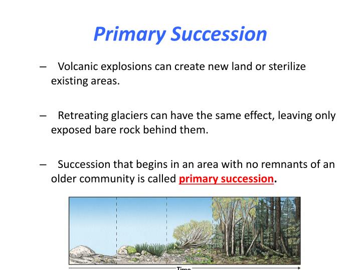 PPT - Chapter 5: How Ecosystems Work PowerPoint Presentation - ID:2417997