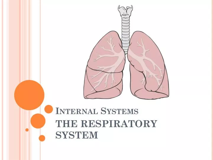 PPT - Internal Systems PowerPoint Presentation, free download - ID:2418196