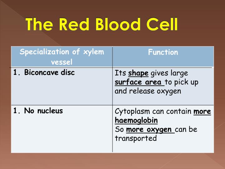 PPT - SPECIALISED CELLS PowerPoint Presentation - ID:2419357