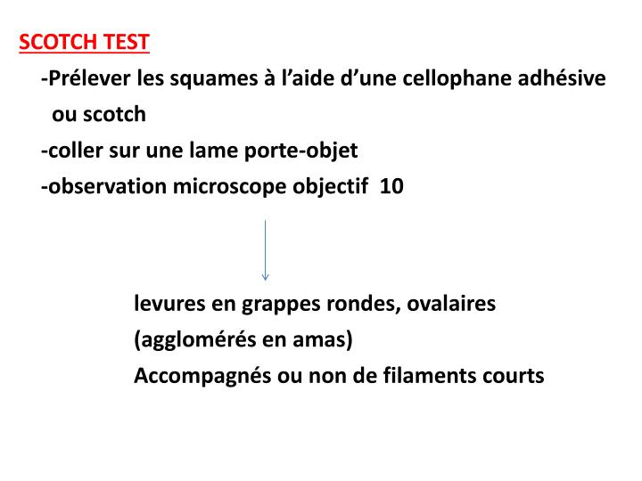 PPT - Pityriasis versicolor PowerPoint Presentation - ID:2419602