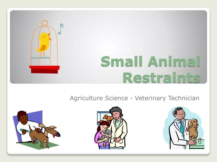 PPT - Small Animal Restraints PowerPoint Presentation, free download ...