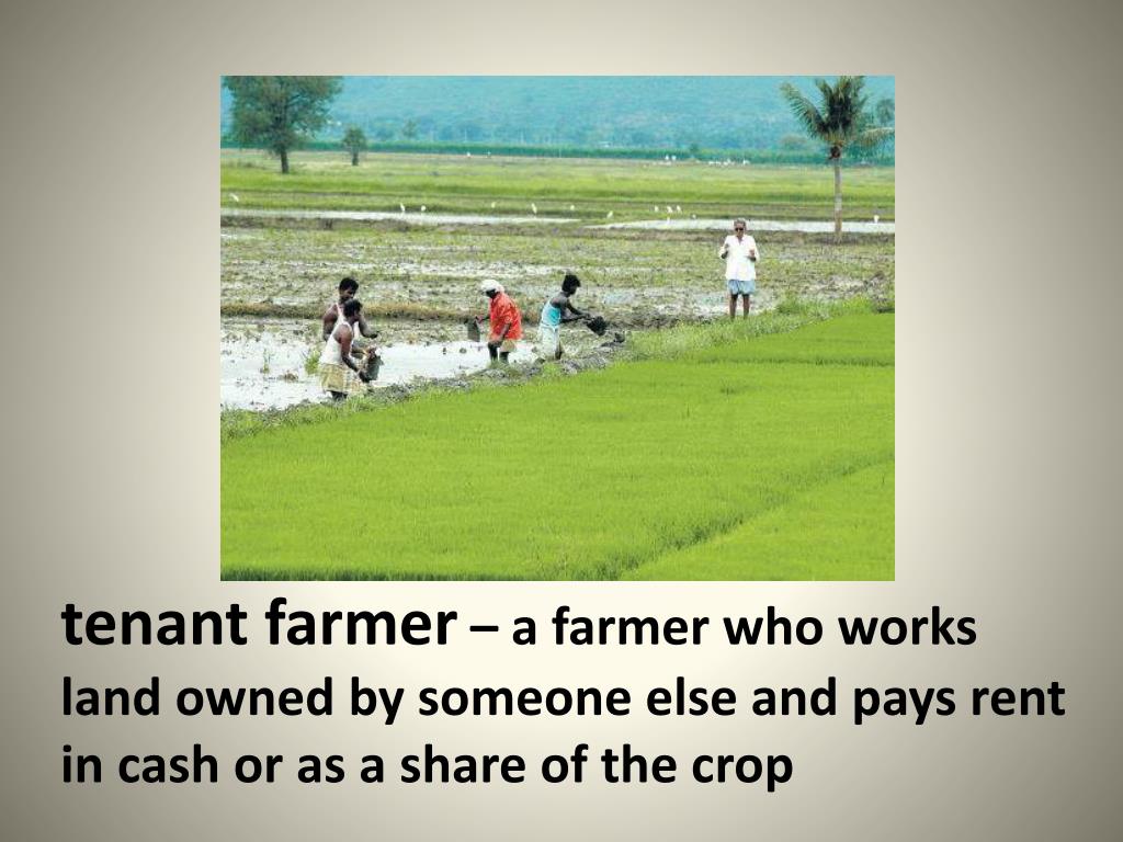 PPT - Academic and Content Vocabulary for Ancient India and Early China ...