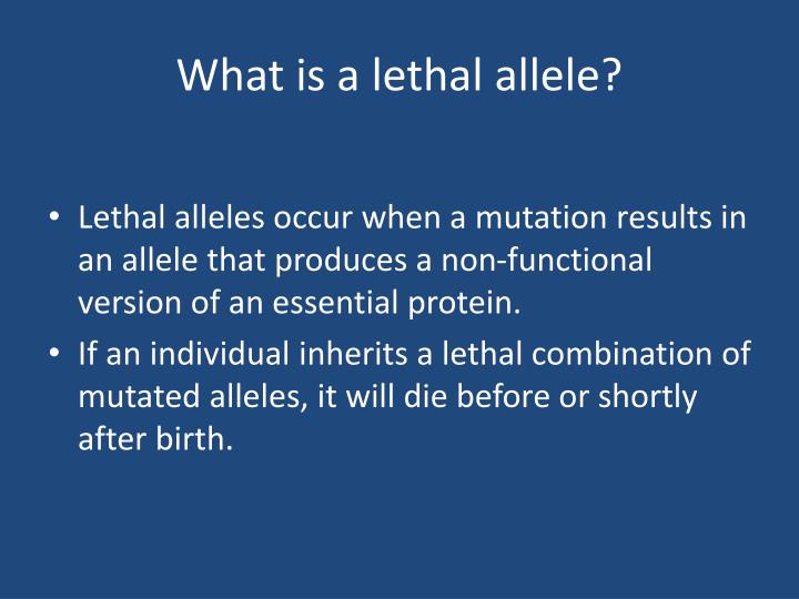PPT - Lethal alleles PowerPoint Presentation - ID:2420666