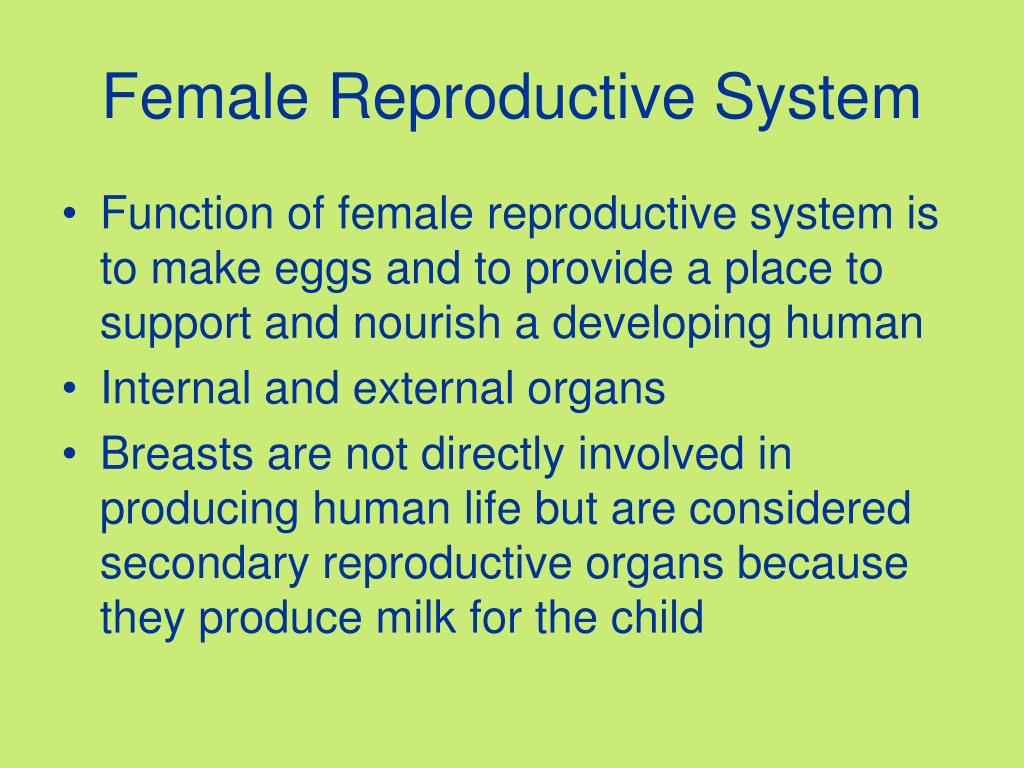 PPT - UNIT 6: Sex Education, Human Reproduction, and STDs PowerPoint ...