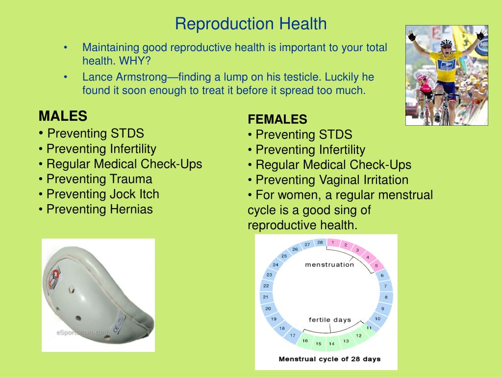 PPT - UNIT 6: Sex Education, Human Reproduction, and STDs PowerPoint ...