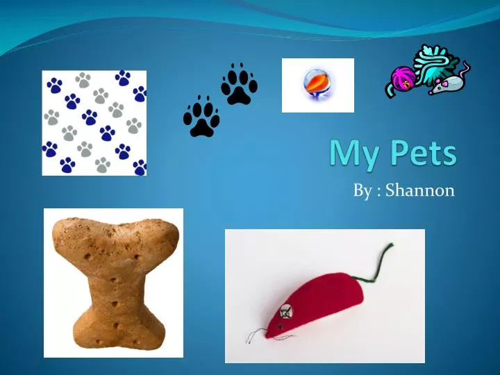 PPT - My Pets PowerPoint Presentation, free download - ID:2420779
