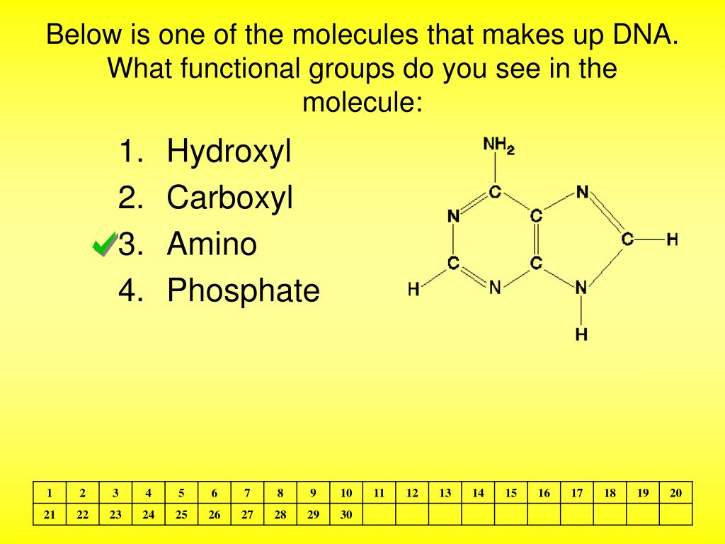 Ppt Nucleic Acids Powerpoint Presentation Free Download Id2421509