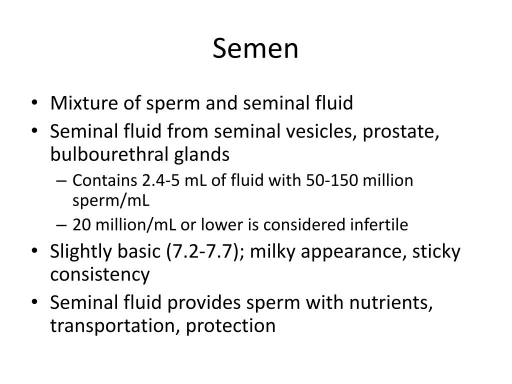 PPT - Male Reproduction PowerPoint Presentation, free download - ID:2421607