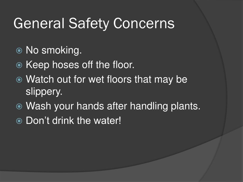 PPT - Insects, Diseases and Greenhouse Safety PowerPoint Presentation ...