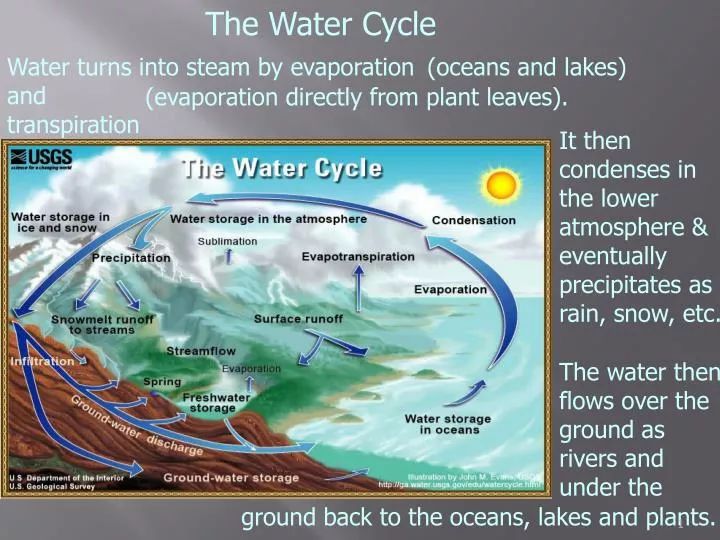 PPT - The Water Cycle PowerPoint Presentation, free download - ID:2421805
