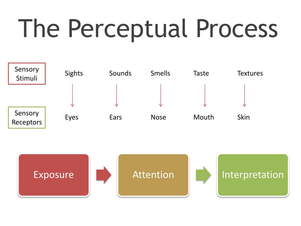 PPT - Class 5 Consumer Perception PowerPoint Presentation, free ... PPT - Class 5 Consumer Perception PowerPoint Presentation, free ...