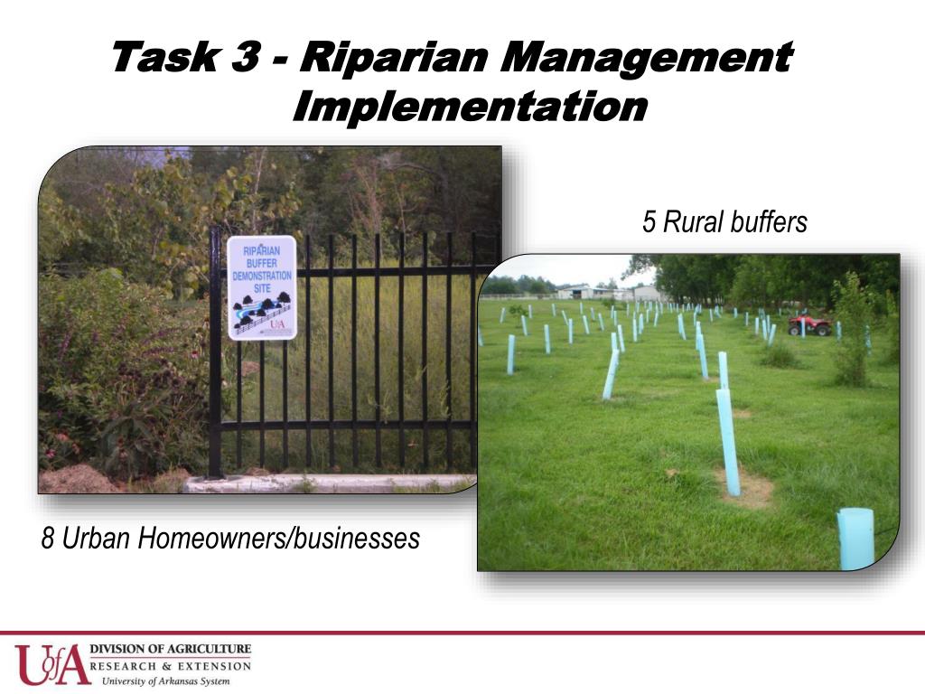 PPT - Clear Creek Riparian Management Education Project PowerPoint ...