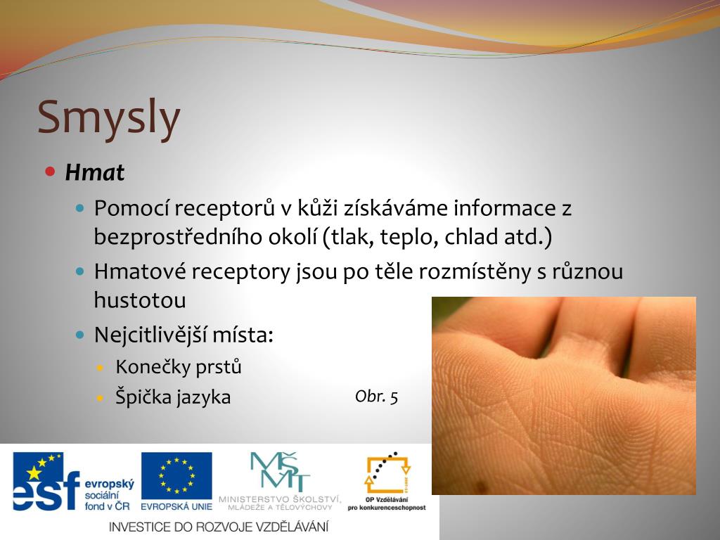 PPT - VNĚJŠÍ ČÁSTI LIDSKÉHO TĚLA PowerPoint Presentation, free download ...