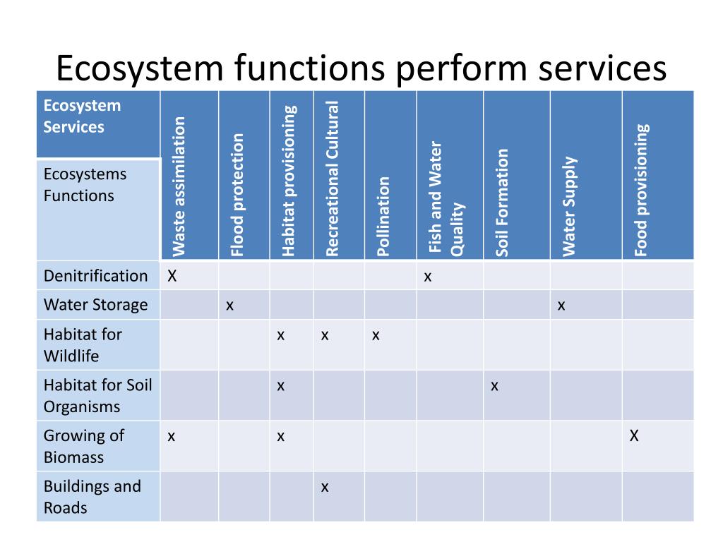 PPT - R . S . de Groot et al . / Ecological Economics 41 (2002) 393–408 ...