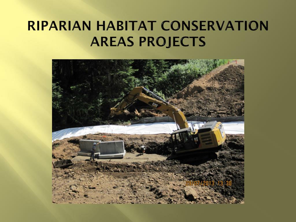 PPT - Riparian Habitat Conservation Areas in the Kahler Project ...
