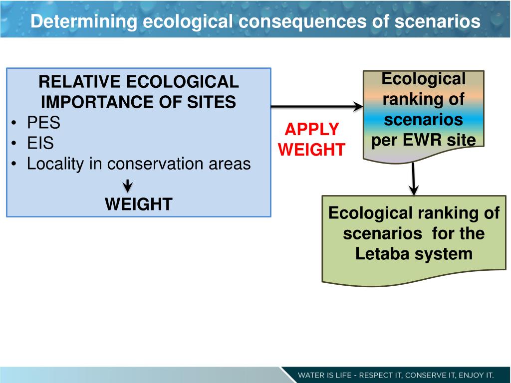 PPT - ECOLOGICAL CONSEQUENCES Presented by: Delana Louw (Rivers for ...