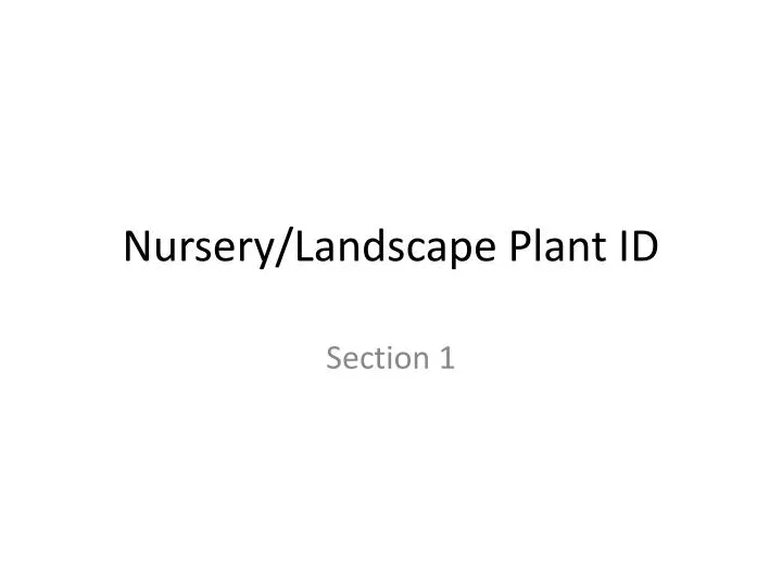 PPT - Nursery/Landscape Plant ID PowerPoint Presentation, free download ...