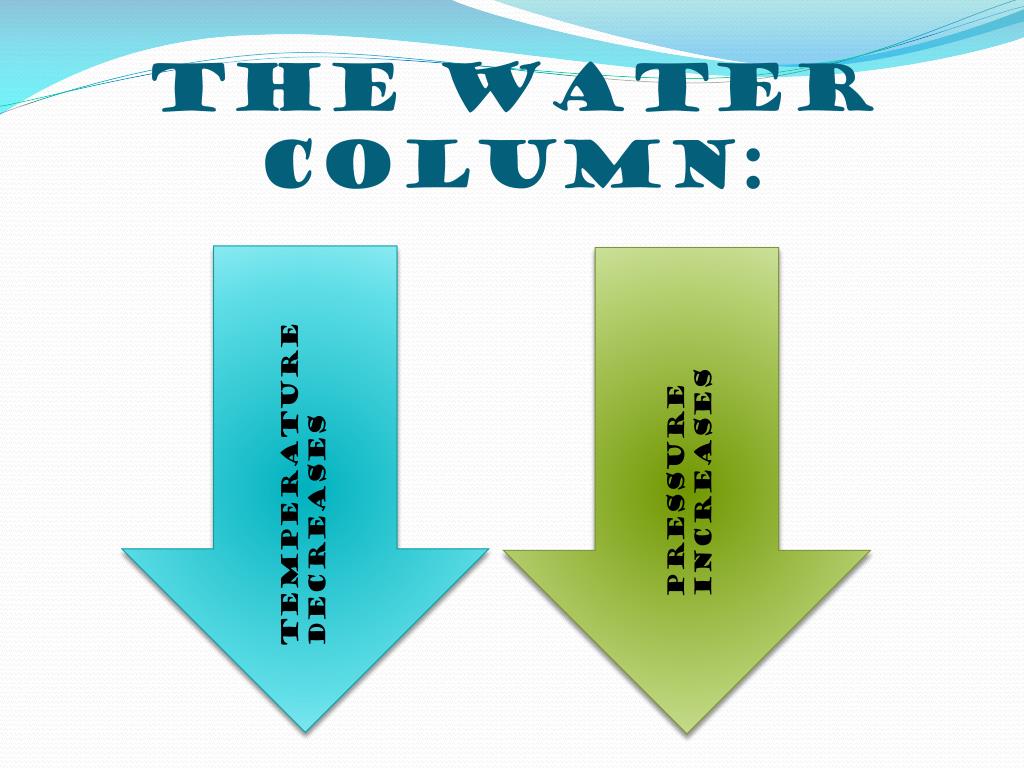 PPT - Ocean Water Chemistry PowerPoint Presentation, free download - ID ...