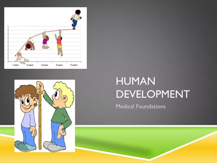 PPT - Human Development PowerPoint Presentation, free download - ID:2423639