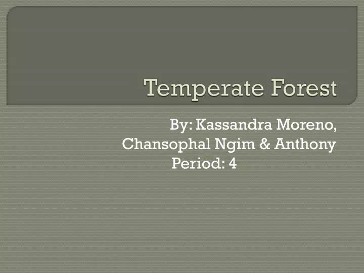 PPT - Temperate Forest PowerPoint Presentation, free download - ID:2423666