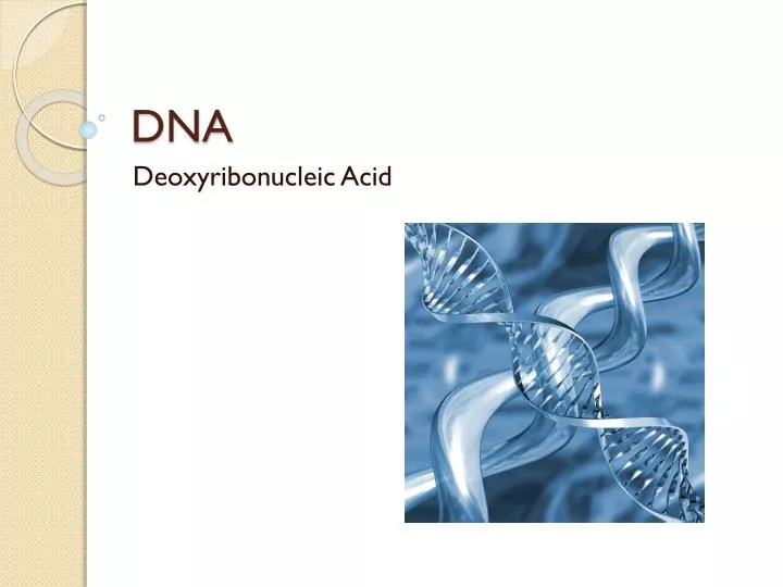 PPT - DNA PowerPoint Presentation, free download - ID:2423938