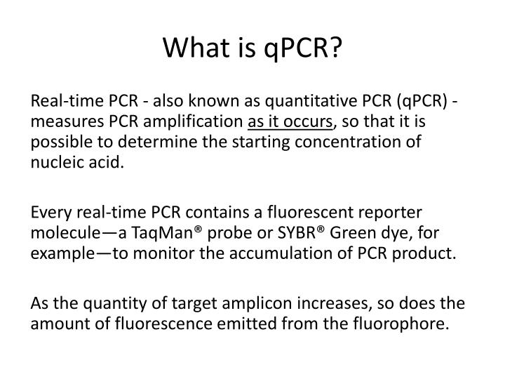 PPT - What Can You Do With qPCR? PowerPoint Presentation - ID:2424043