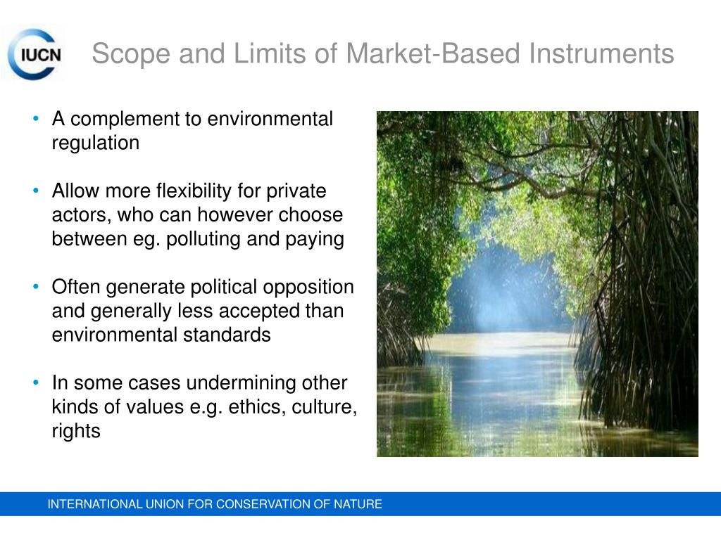 PPT - Using Market-Based Instruments and Issues in Identifying ...