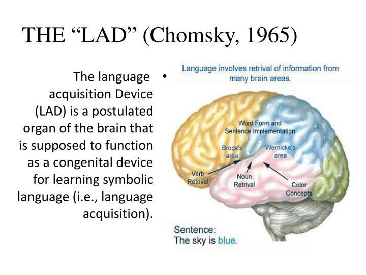 PPT - Theories of First Language Acquisition PowerPoint Presentation ...