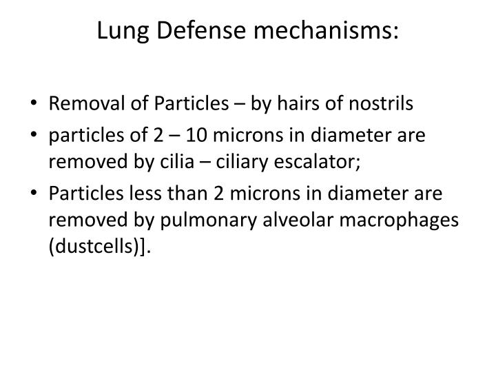PPT - Introduction to Respiratory system Structure and Function of the ...