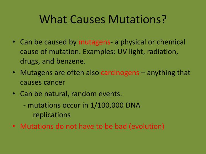 PPT - Mutations PowerPoint Presentation - ID:2426303
