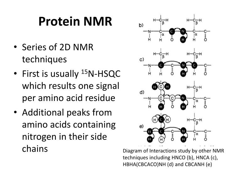 PPT - Protein NMR PowerPoint Presentation - ID:2426489