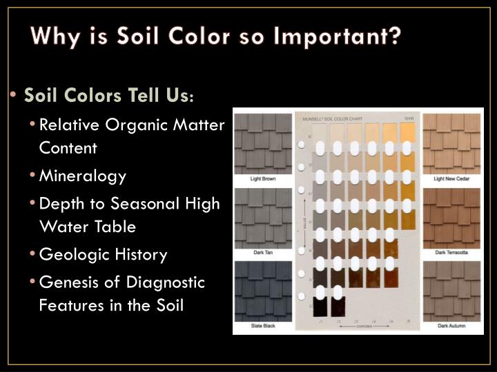 PPT - Soil Color PowerPoint Presentation - ID:2426669