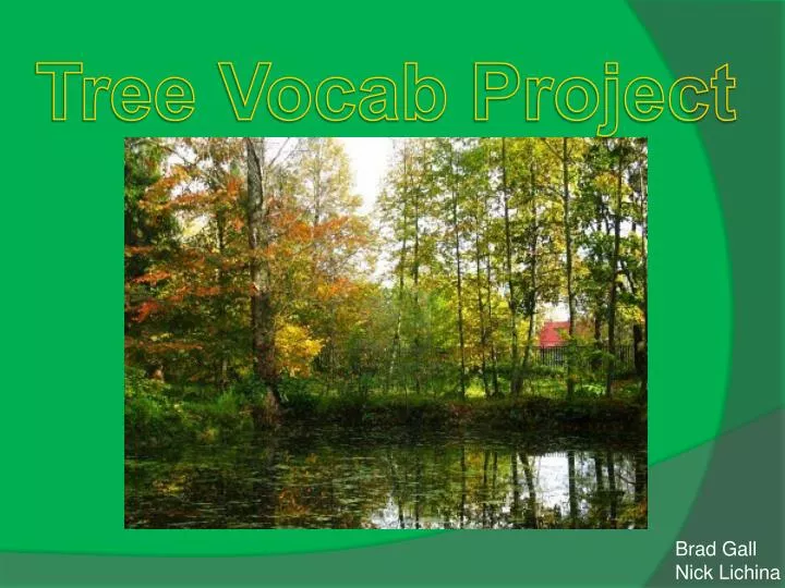 PPT - Tree Vocab Project PowerPoint Presentation, free download - ID ...