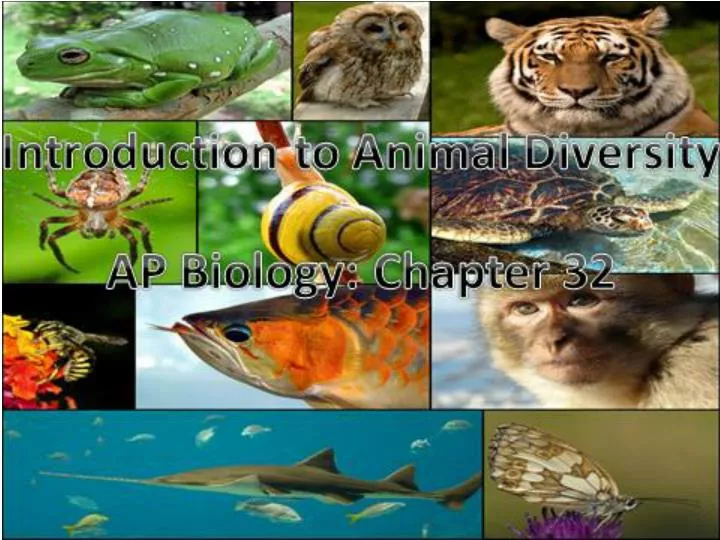 PPT - Review: Evolution of Life PowerPoint Presentation, free download ...