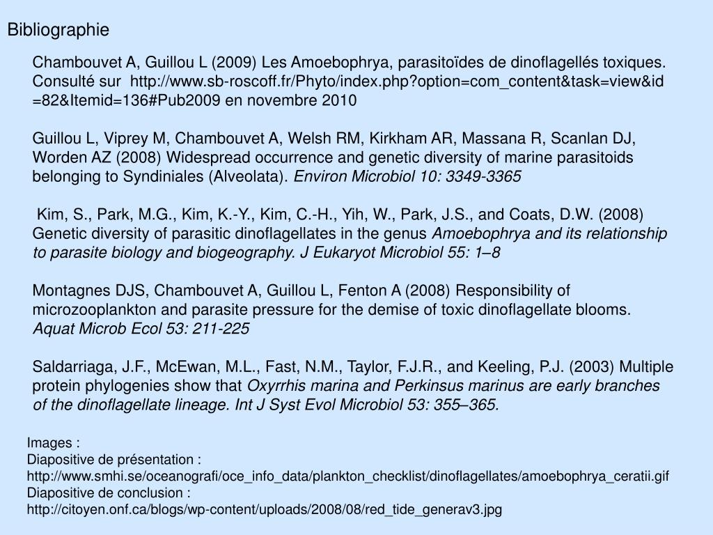 PPT - Abondance et diversité génétique des parasitoïdes marins ...