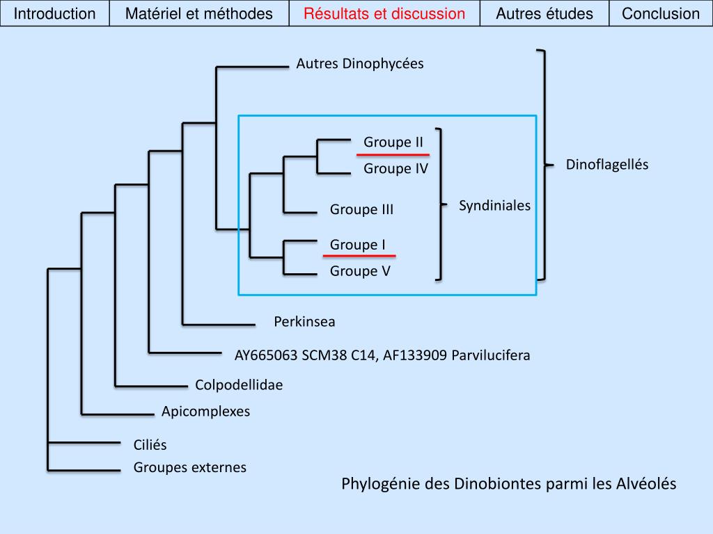 PPT - Abondance et diversité génétique des parasitoïdes marins ...